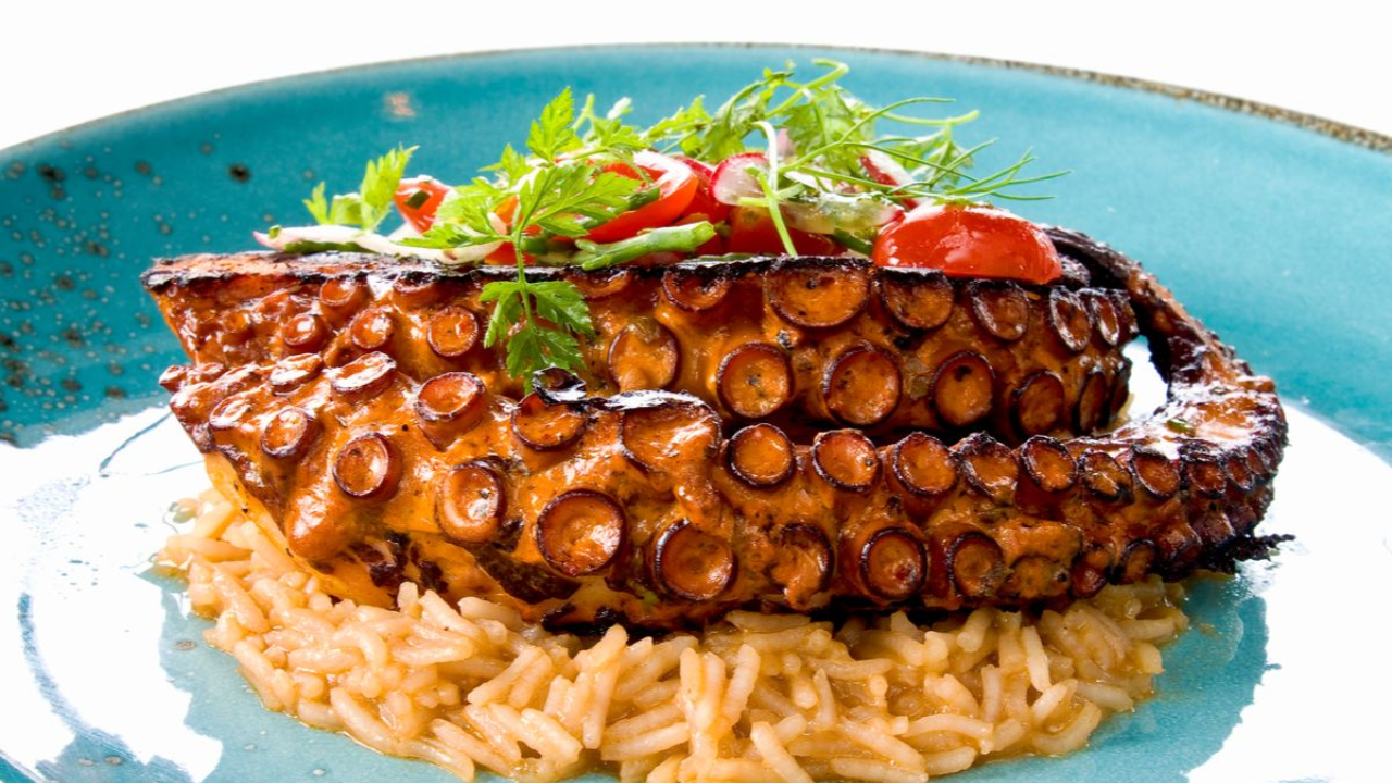 Semana Gastronómica do Polvo em Odemira - Correio Alentejo