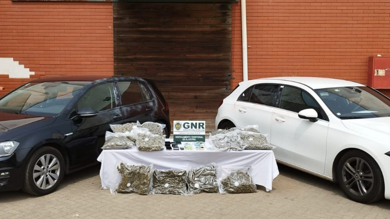 Detidos em Aljustrel com 4.966 doses de liamba - Correio Alentejo