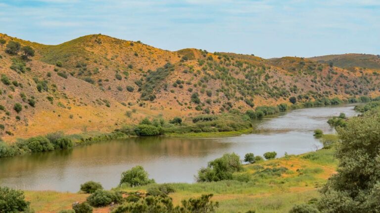 EDIA quer construir duas novas barragens em Beja e Mértola - Correio ...